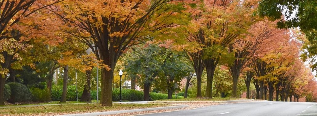 Roland Park Civic League – Baltimore, MD